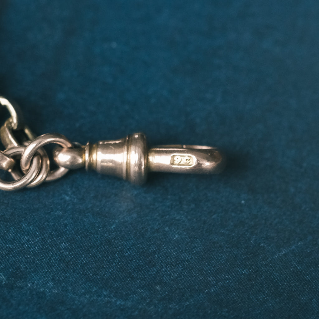 Victorian Bars & Orbs Guard Chain – Lost Owl Jewelry