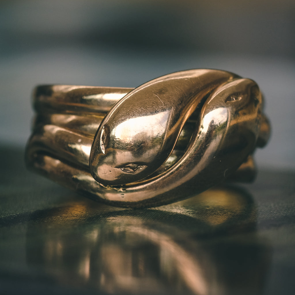 Edwardian Two Snakes Ring – Lost Owl Jewelry